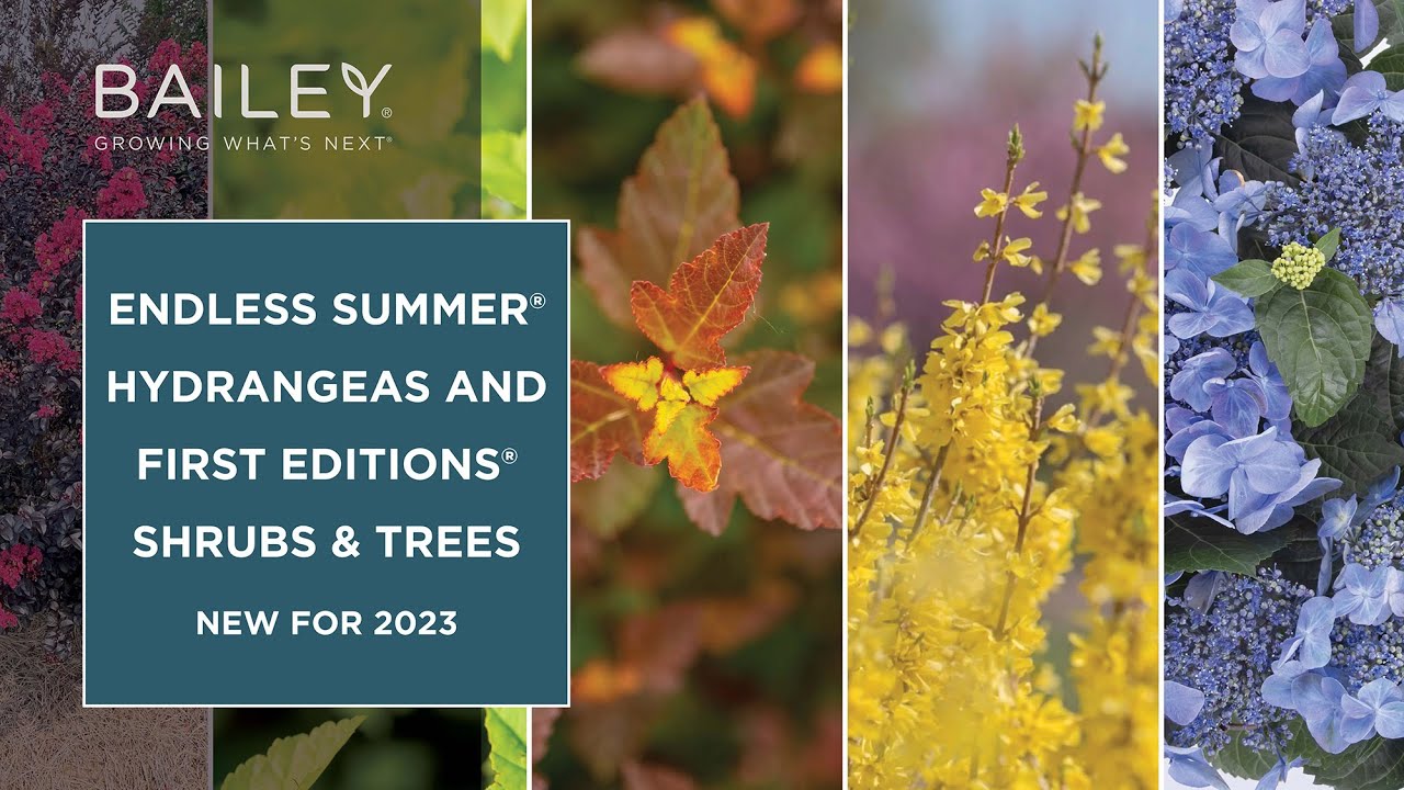 Meet our New First Editions® and Endless Summer® Varieties for 2023
