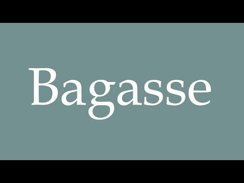 How to Pronounce ''Bagasse'' Correctly in French