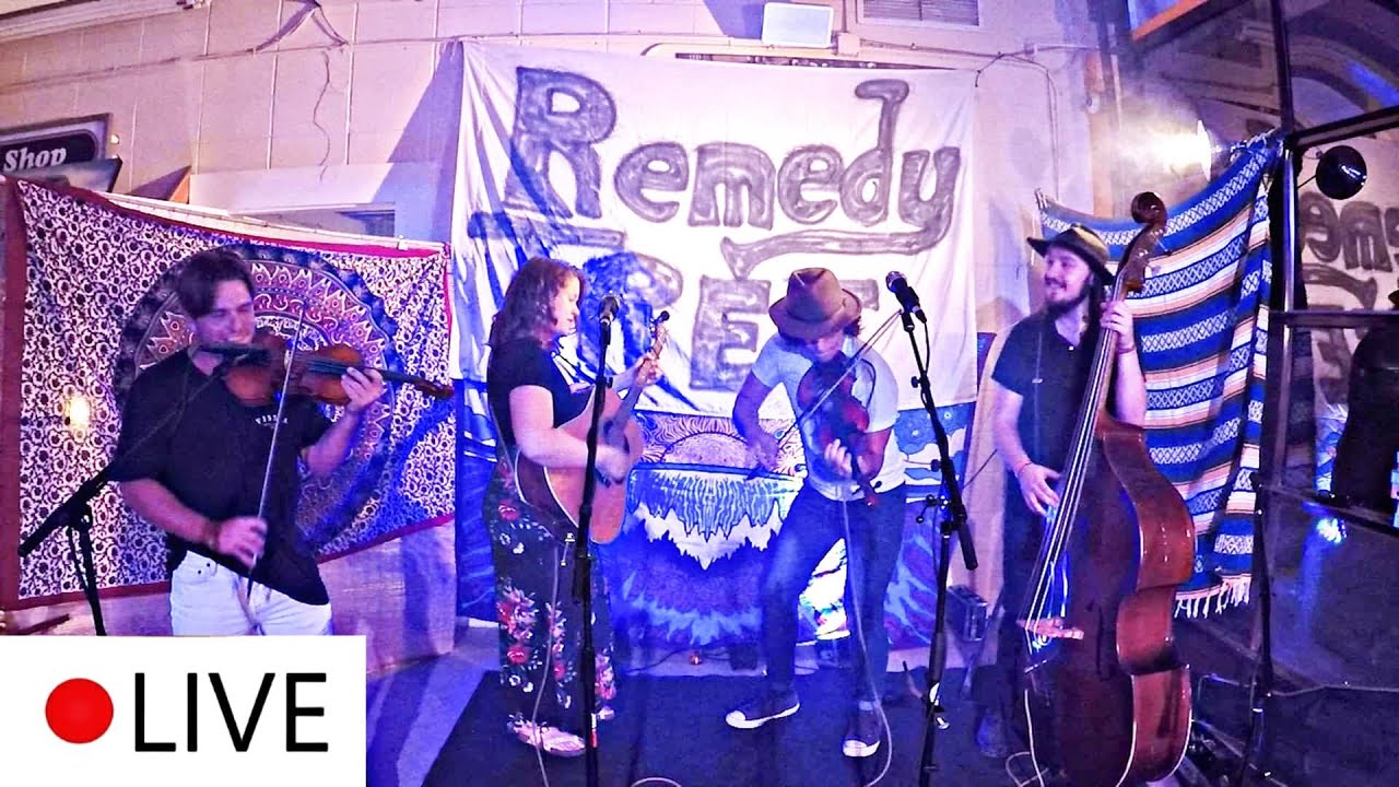 Hire Remedy Tree - Bluegrass Band in St Augustine, Florida