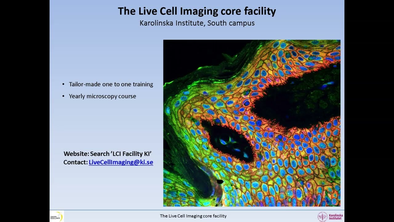LCI facility virtual tour