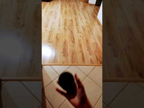 #oreo #squishy #omg #cool #lol