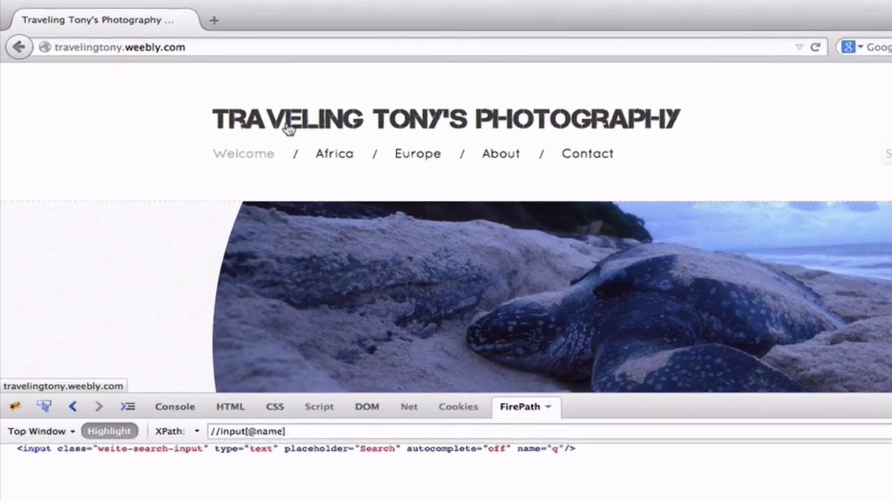 Selenium Python language- Locating Elements Using XPATH