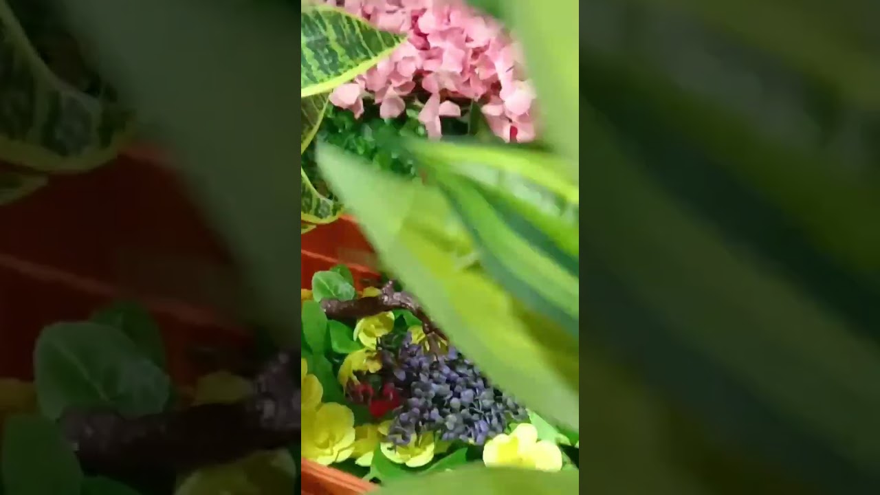 wholesale market Pune |artificial flower shop