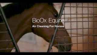 Thoroughbred Trainers Information Guide – Serving Thoroughbred Trainers