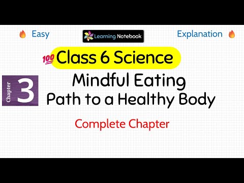 Class 6 Science Mindful Eating A Path to a healthy body - Class 6 science curiosity chapter 3