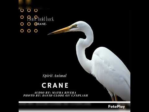 Spirit Animal-Crane