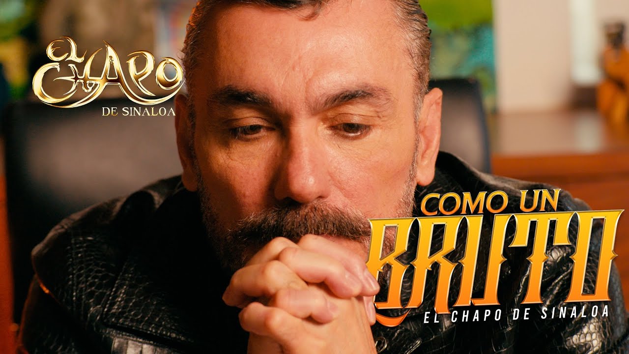 How Much Does 'COMO UN BRUTO' Make? | Earnings | Net Worth | Popnable