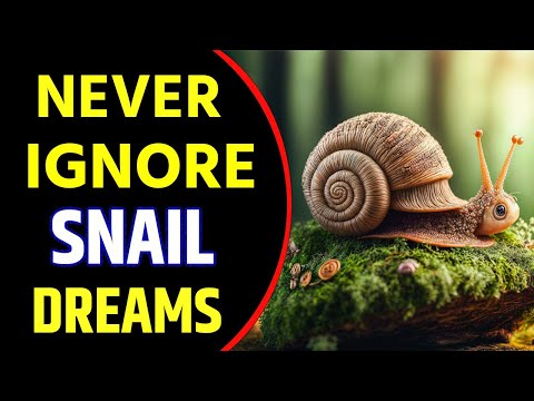 What does Snail Dream Meaning | Dreaming of Snail | Snail Dream Interpretation