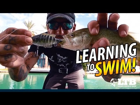 Biwaa Fishing Performance - the pro fishing shop that offers you the ...