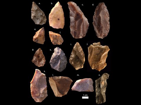 Who Made the Oldest Stone Tools?-PaleoFridays – World of Paleoanthropology
