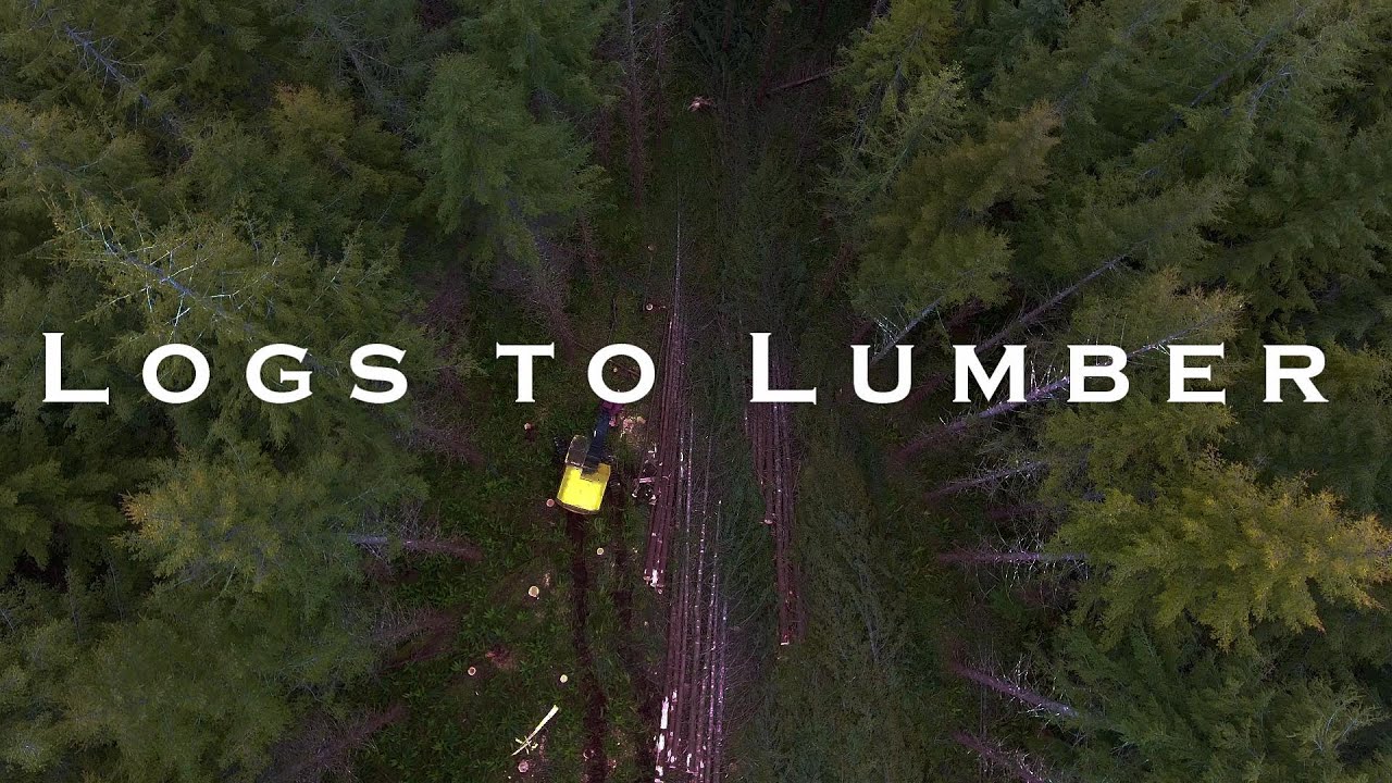 Washington State Logs to Lumber: How Renewable, Climate Friendly Wood Products Are Made