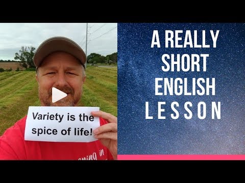 Meaning of VARIETY IS THE SPICE OF LIFE - A Really Short English Lesson with Subtitles #shorts