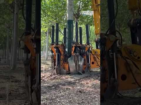 Tree Removing Machine Gets the Job Done