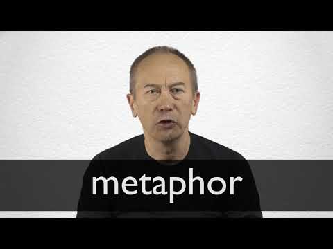 METAPHOR——含义、同义词和翻译| 柯林斯英语词典资源