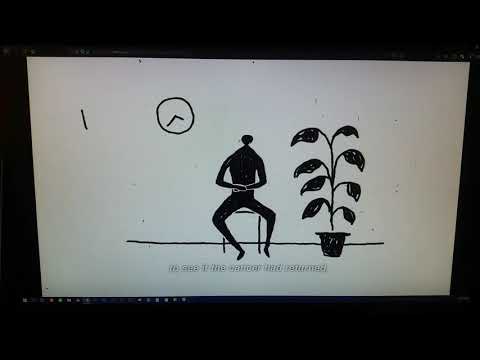 Excerpt from Netflix The Mind Explained Psychidelics