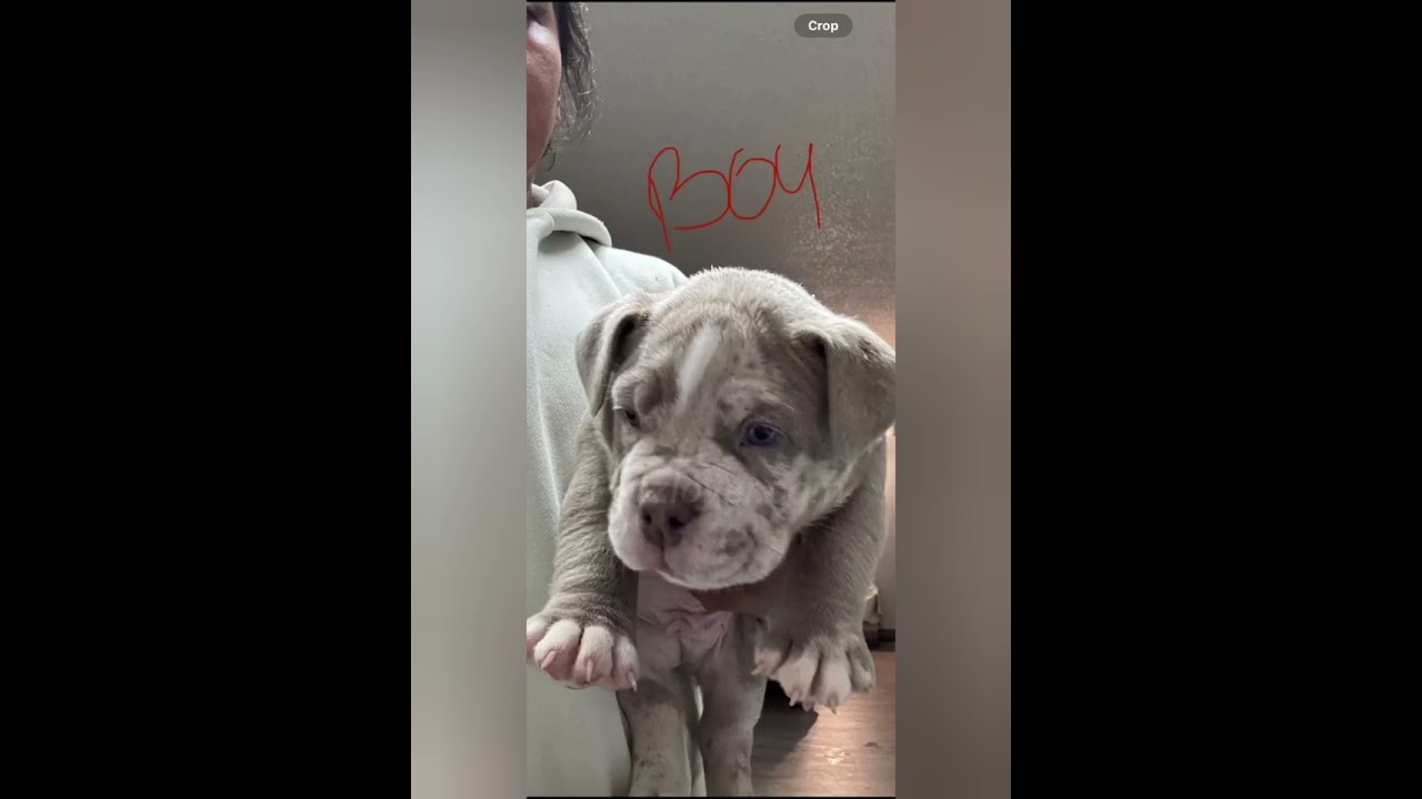 Fotofits upload UCGpf2xlOV4yXmAar149G3xA 7_3jX1Hlb5