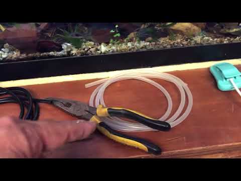 DIY Brine Shrimp Hatchery