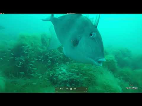 What to look for to find new fishing spots in the Gulf of Mexico