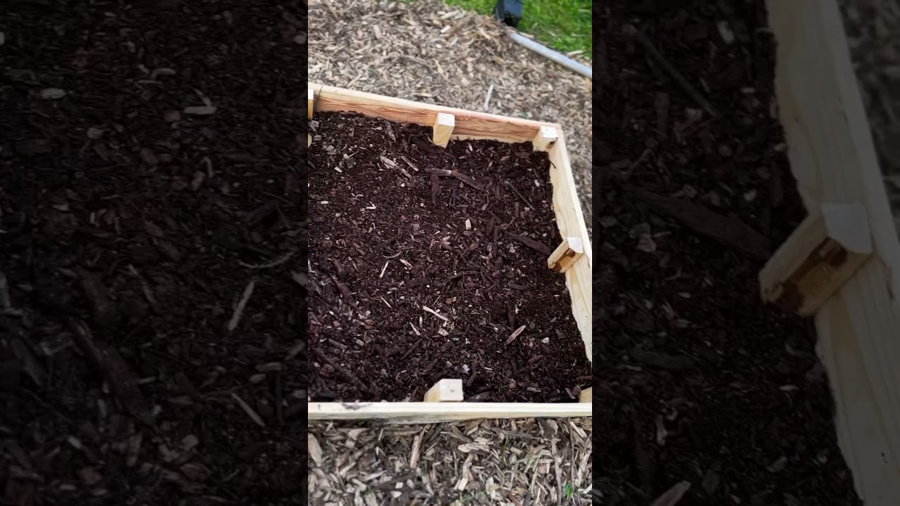 DIY raised garden be with repurposed wood pallets #sustainablefarming #repurpose #urbanfarm