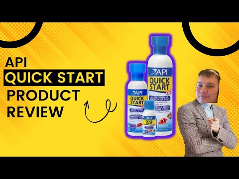 Set Up A Fish Tank FAST - API Quick Start - Review