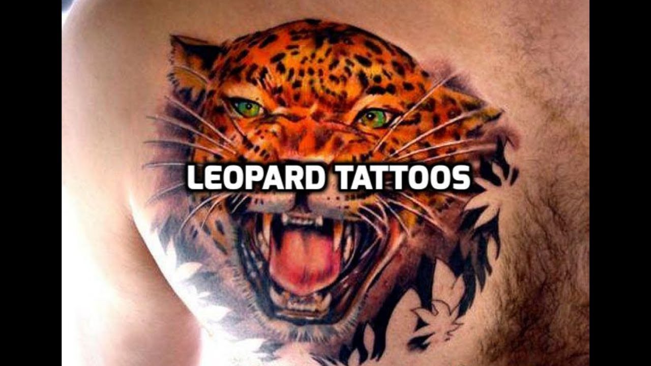 Leopard Tattoos - Best Leopard Tattoo Designs