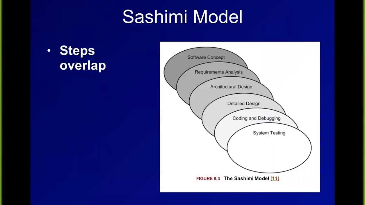 CNIT 125 Ch 9. Software Development Security