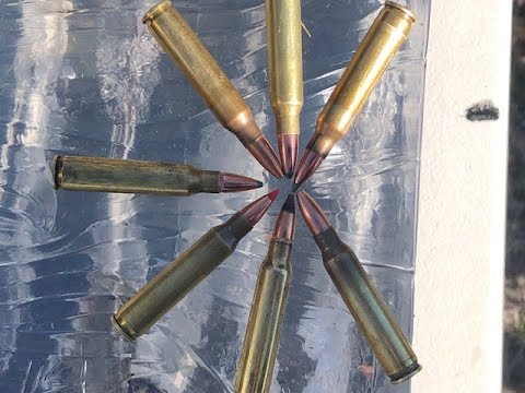 Varmint Bullets For Self Defense