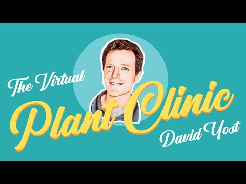 Virtual Plant Clinic
