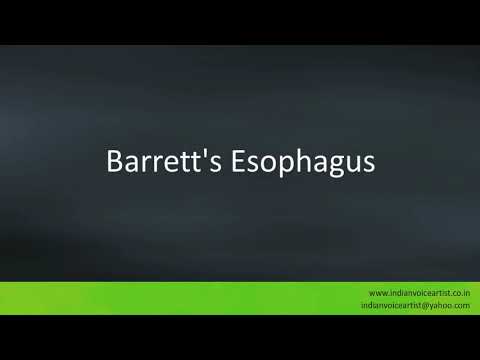 Pronunciation of the word(s) "Barrett's Esophagus".