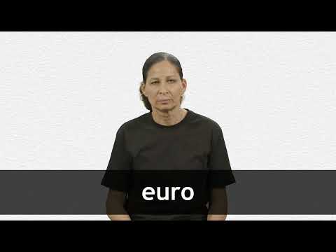 English Translation of “EURO” | Collins French-English Dictionary