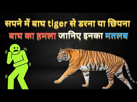 सपने में बाघ tiger से डरना या छिपना का मतलब क्या होता है 🐯tiger attack in dream meaning #tigerdream