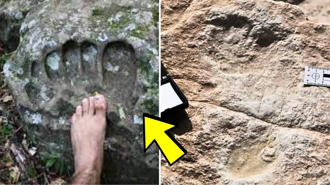 Archaeologists Discovered Huge 115,000 Year Old Human Footprints That Could Rewrite Human History