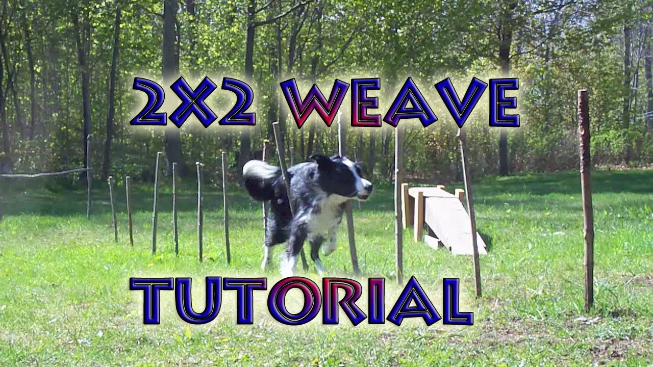 Agility Training Tutorial - Weave Poles (2X2 Poles Method)