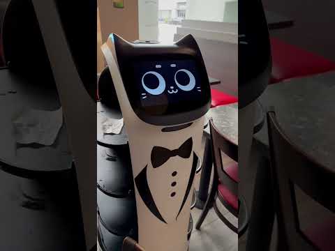 Robot Cat Waiter Welcome 🤖🤗 #robot #restaurant #ai #cat #losangeles