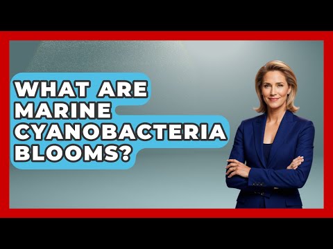What Are Marine Cyanobacteria Blooms? - The Marine Life Explorer