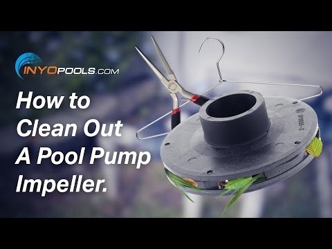 How To: Clean Out A Pool Pump Impeller