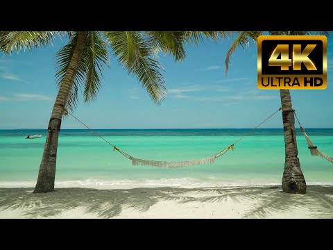 π΄Calm Tropical Beach Relax on a hammock with Wave Sounds 8 hrs 4K