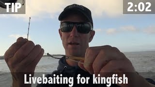 Ultimate Fishing