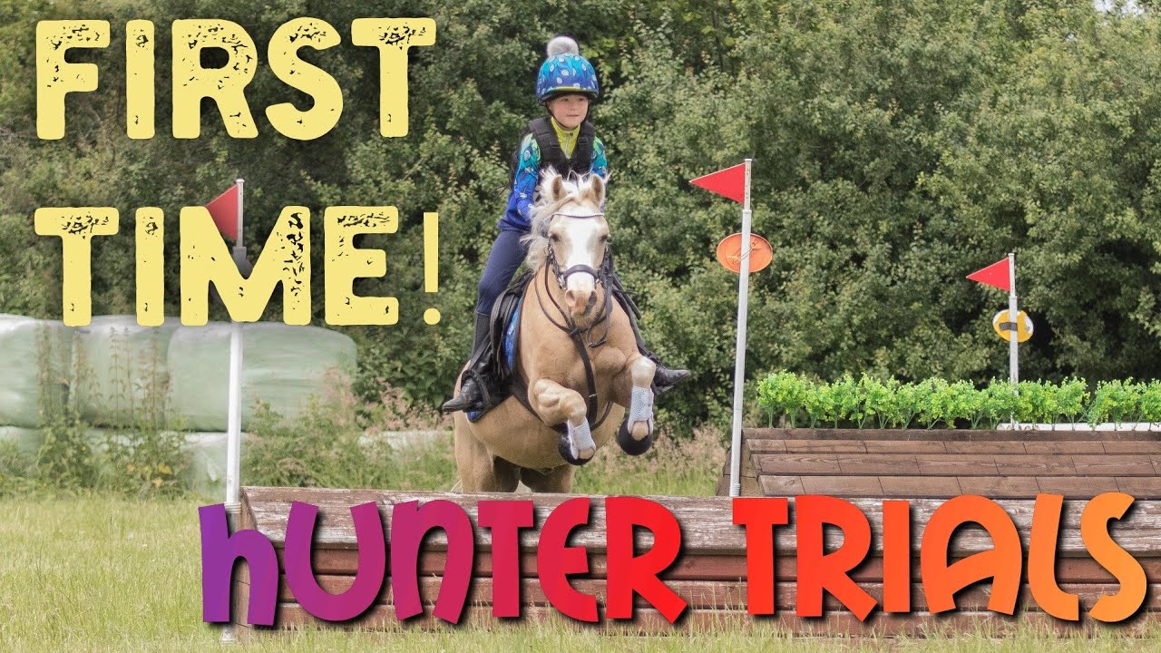 First Time Hunter Trials - Palomino Welsh Pony