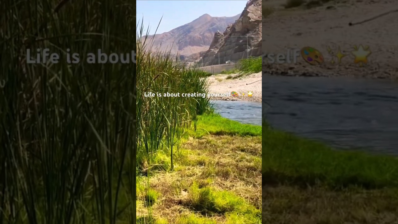 a word to the wise 👍