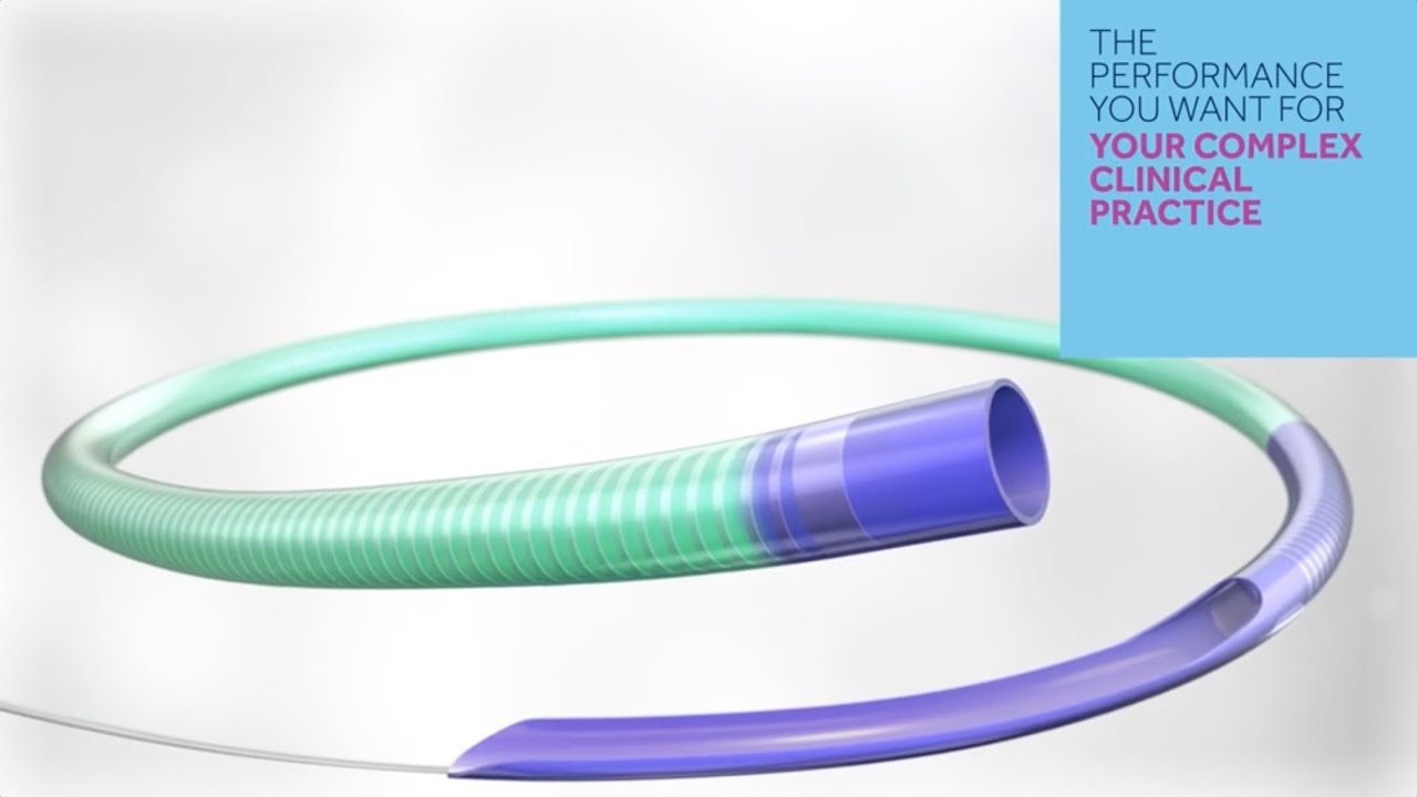 Telescope Guide Extension Catheter - Overview