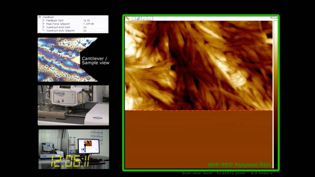 Dimension FastScan and ScanAsyst - Fast unattended AFM Imaging
