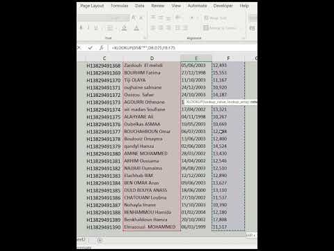 Excel Formula, Xlookup & Wildcard