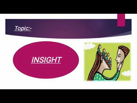 What is insight (lecture# 18)