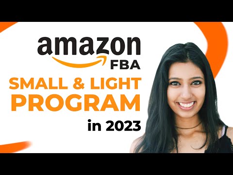 Amazon FBA Small and Light: How to Use This Program to Increase Your Profits