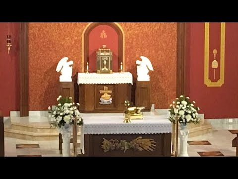 Holy Sacrifice of the Mass of the Memorial of Saint John of the Cross, priest and doctor of the Chur