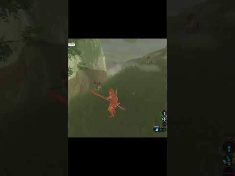 So Apparently You Don't Kill Chickens In Zelda.....