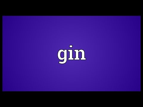 Gin Meaning