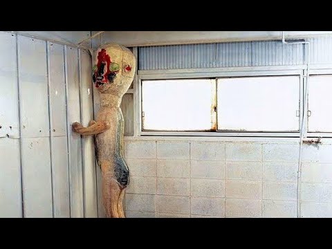 SCP-173 REAL is Fake? Video