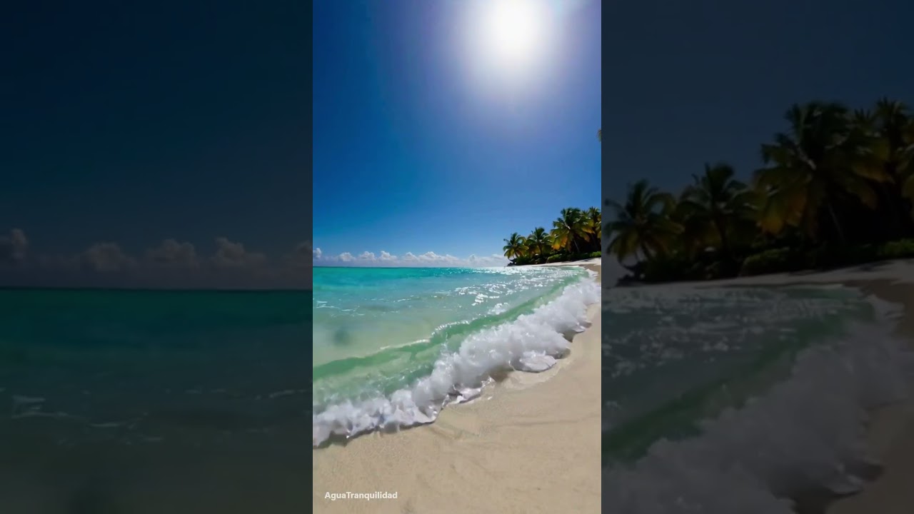 Olas de mar I Sonido relajante I ASMR natural